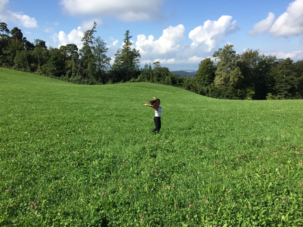Felsenegg-Uetliberg: My First Hike in Switzerland — living minnaly